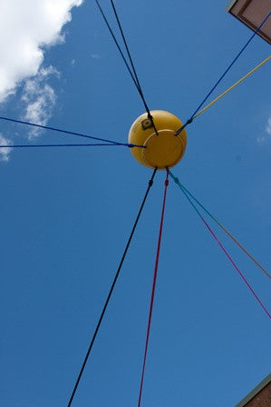 Bull Ring | Training Wheels Gear